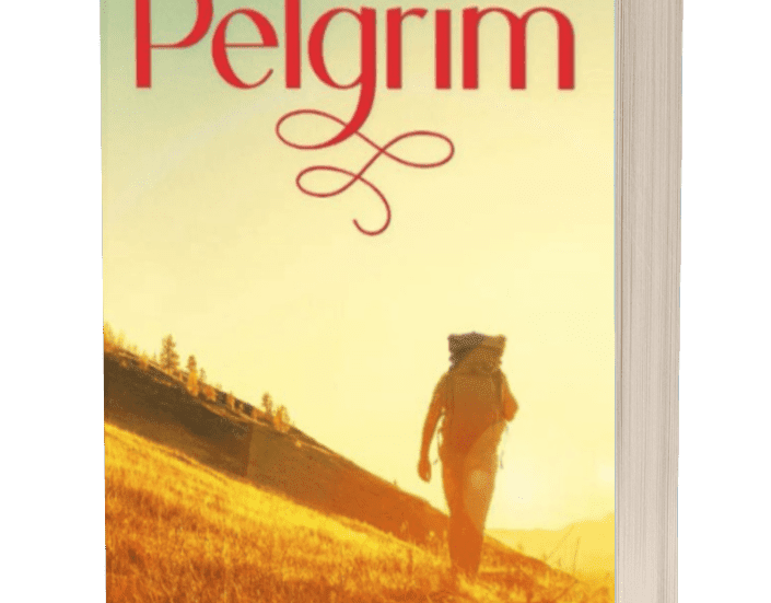 Pelgrim - Hans Peter Roel | Wandeldingen.nl