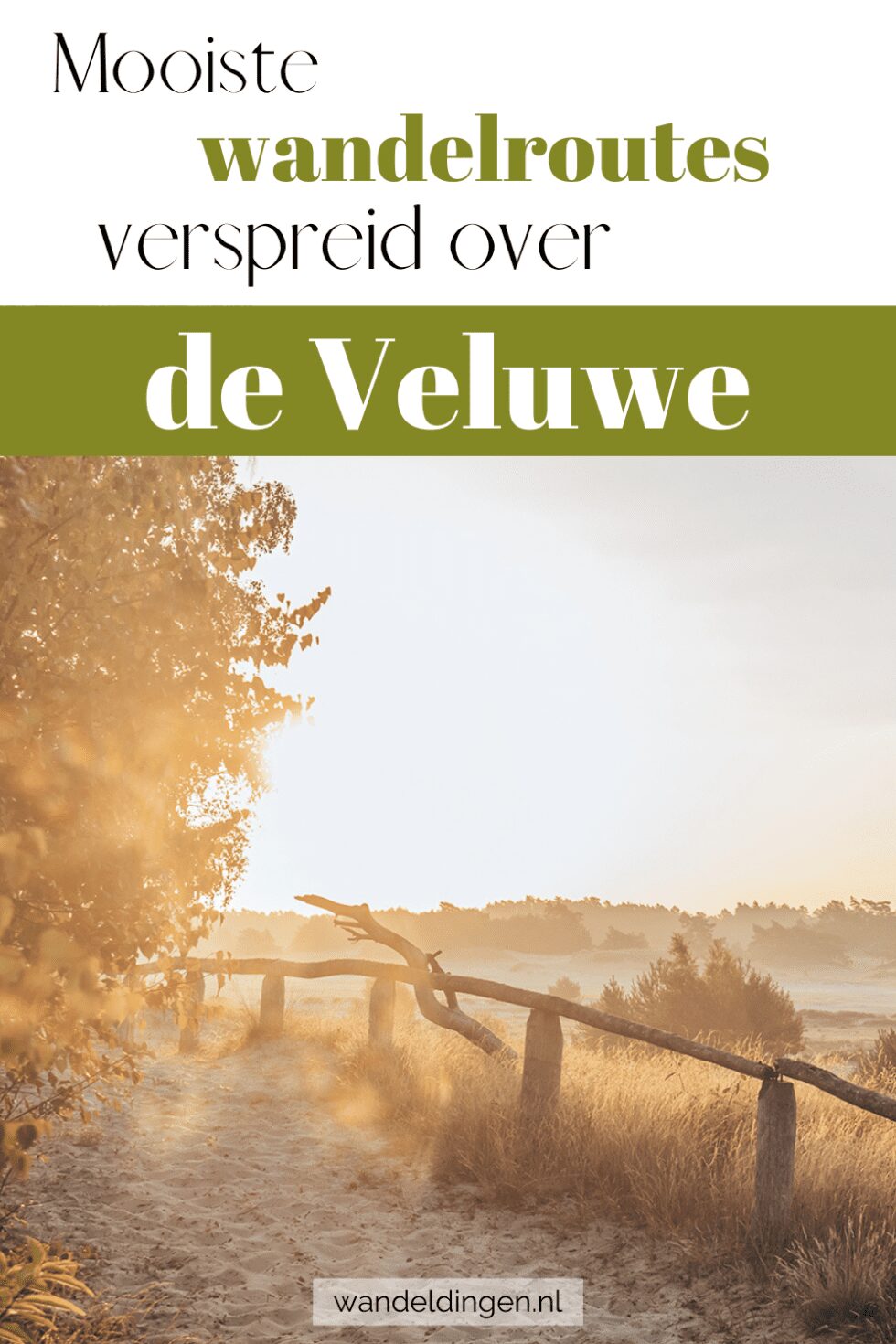 100 wandelroutes op de Veluwe