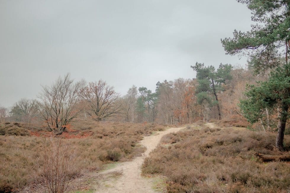 Trage Tocht Zoomland | Wandeldingen.nl