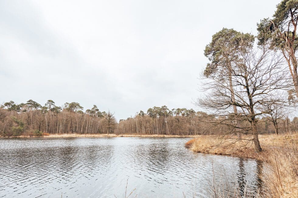 Wandelroute 14 vennen Oisterwijkse Bossen & Vennen