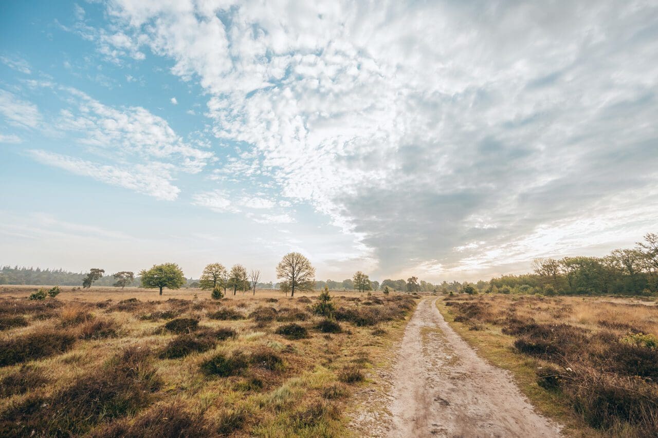 Wandelroute over het Leersumse Veld | Wandeldingen.nl