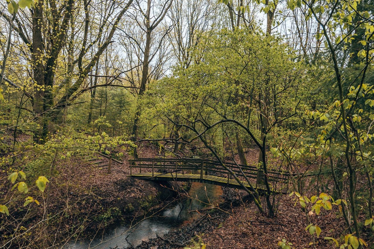 Trage Tocht Renderklippen | Wandeldingen.nl